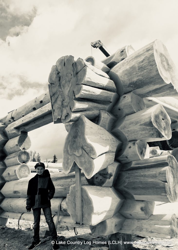 Western Red Cedar Log Cabin Home during contruction
