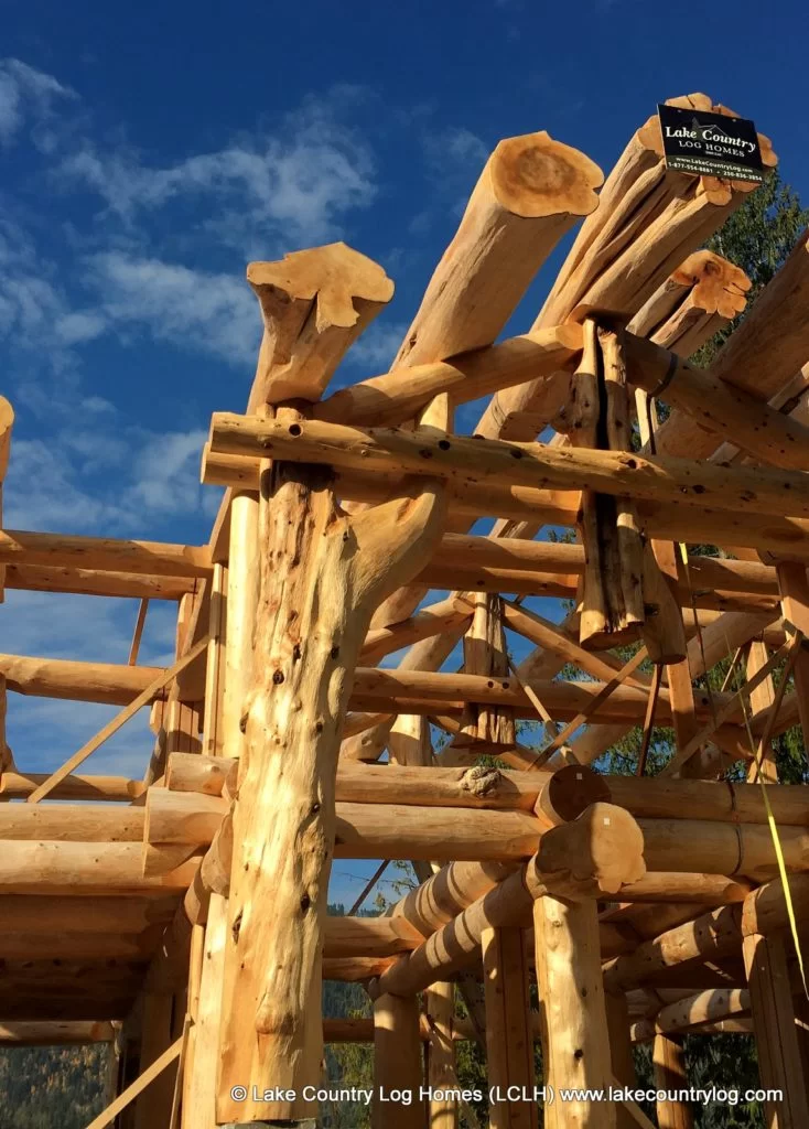 Custom Handcrafted Post and Beam Log Homes